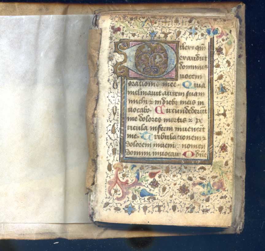 Discover thousands of digitized medieval manuscripts! – Juliette Blue ...